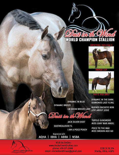 Graphic Design | Stallion Ad – Cross Three